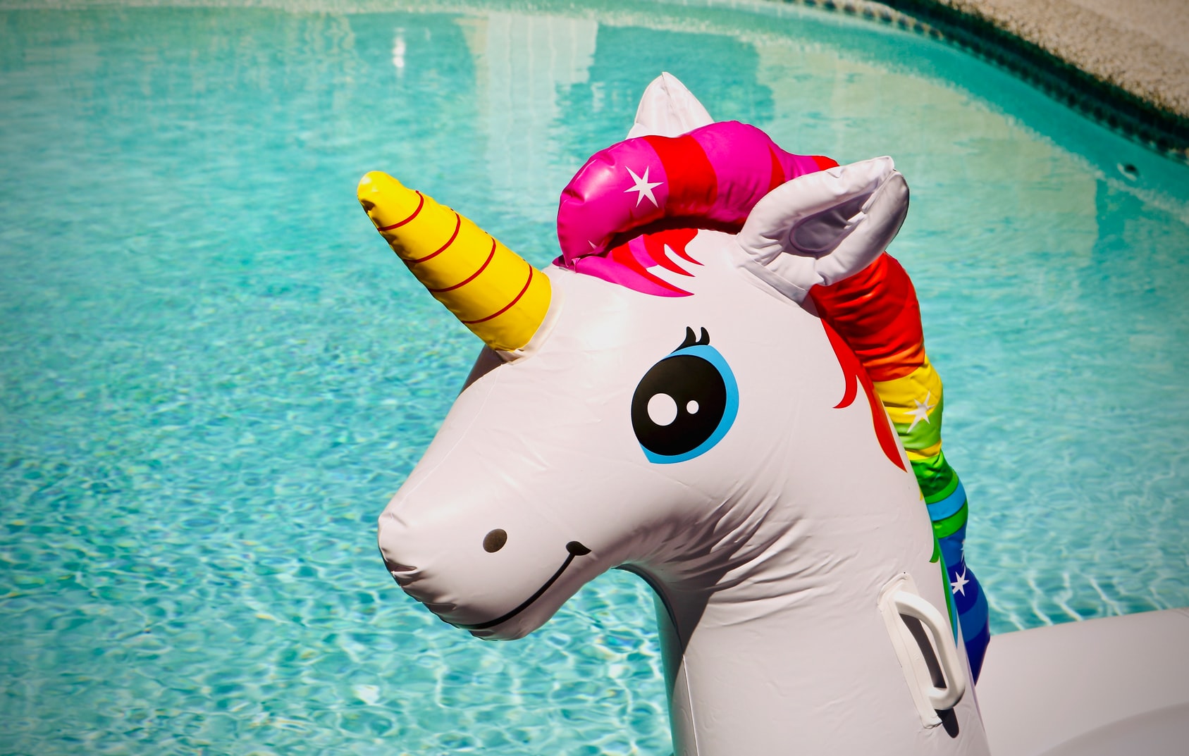Unicorns: Bigger is Not Always Better - VCapital Management Unicorns: Bigger is Not Always Better - VCapital Management